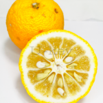 Yuzu,Citrus yuzu | Ukey Seeds&Plants Online store